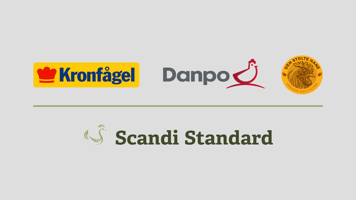 Scandi Standard - Dagens PS