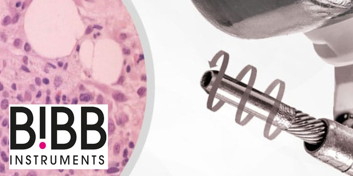 BIBBInstruments - Dagens PS