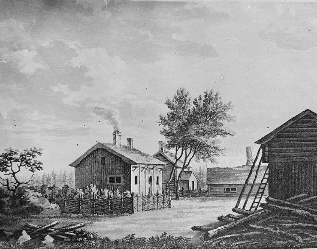 Carl von Linné – vetenskapens entreprenör - Dagens PS