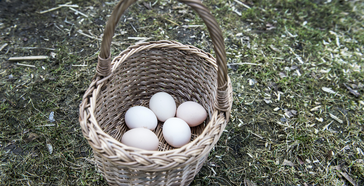 Så placerar du dina pengar som en miljonär - Dagens PS